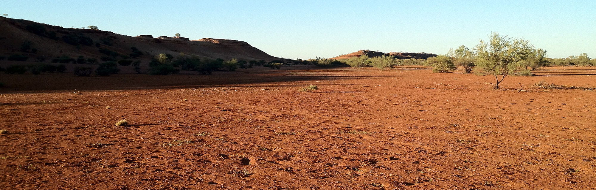 Manyingee Advanced Exploration - Paladin Energy Limited